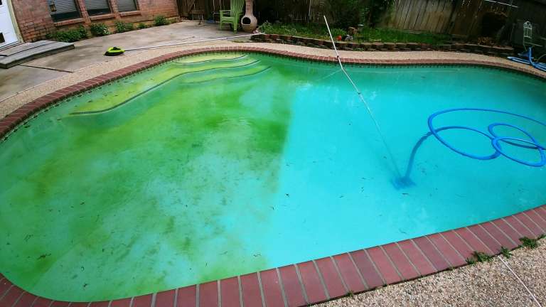 Green to Clean Pool Service Daytona Beach, FL - West Coast Pool and Spa
